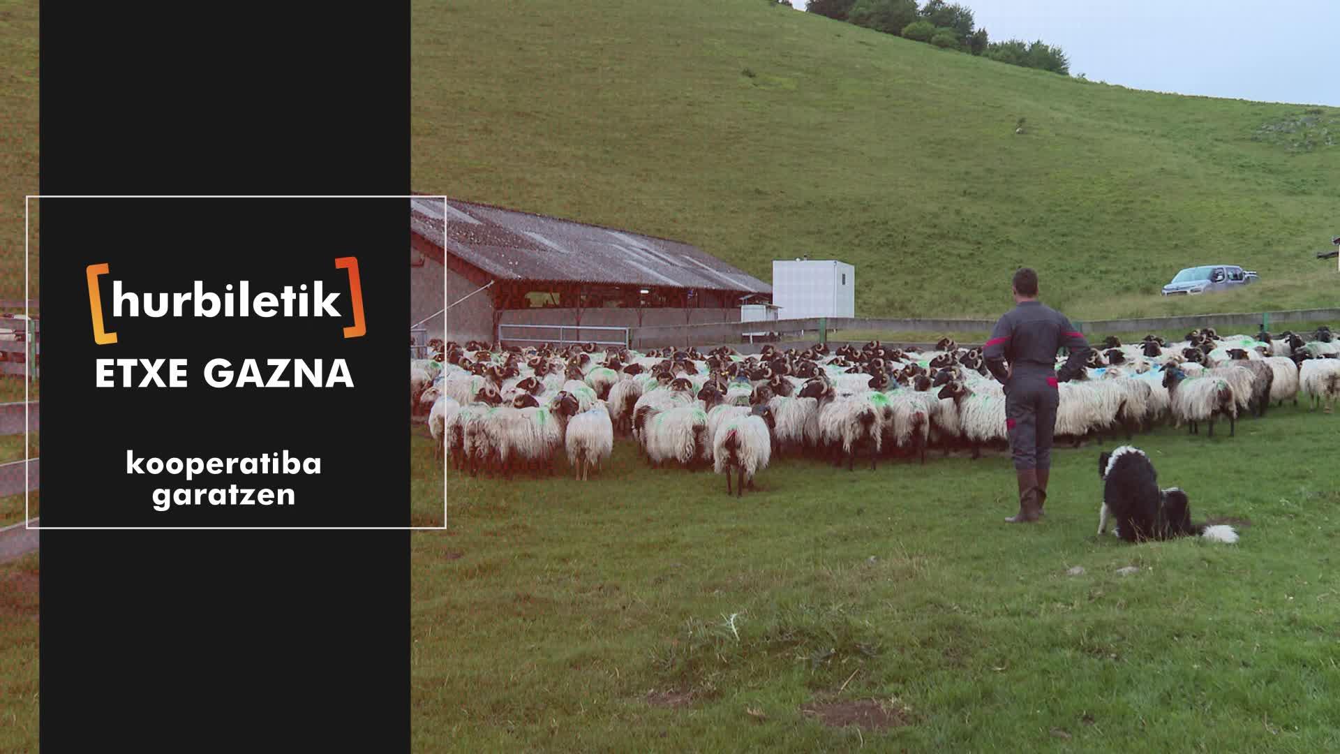 Etxe Gazna kooperatiba garatzen - KANALDUDE, herri telebista